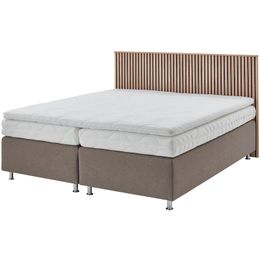 Westfalia Schlafkomfort Boxspringbett »Quercus« wahlweise mit LED-Beluchtung, 3 Matratzenarten zur Auswahl dark-beige
