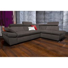 exxpo - SOFA FASHION Ecksofa »Salerno, klassisch modernes Funktionssofa, hoher Sitzkomfort, L-Form« inkl. Kopf- und Armteilverstellung, wahlweise...