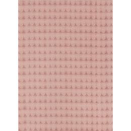 the carpet Teppich &raquo;Cloud&laquo; rechteckig 13 mm H&ouml;he kuscheliger Wohnzimmer Bubble Teppich Rosa Obermaterial: 100% Polyester B : 120 cm 1 Stk.