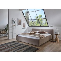 Meise Möbel MEISE.MÖBEL Polsterbett »Cube wahlweise mit Matratze und Bettkasten« extra flaches Kopfteil, erhältlich in den Breiten 140cm, 160cm & 180cm taupe +...