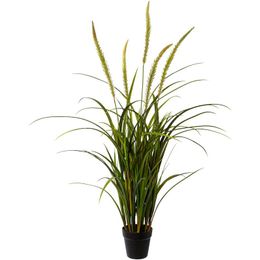 Creativ green Kunstgras &raquo;Grasbusch Miscanthus im Topf&laquo; gr&uuml;n Obermaterial: 100% Polyethylen