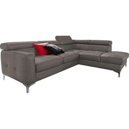 COTTA Ecksofa &raquo;Sammy L-Form&laquo; mit Kopfteilverstellung, wahlweise mit Bettfunktion & Bettkasten grau Microfaser Primabelle (100% Polyester);Die 