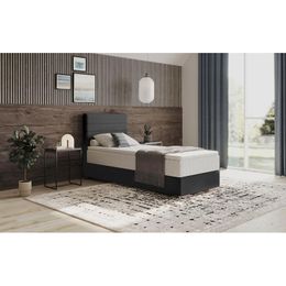 MR. COUCH Boxbett »Stratus 2« inkl. Bettkasten und Matratze Stripes 8629 stone