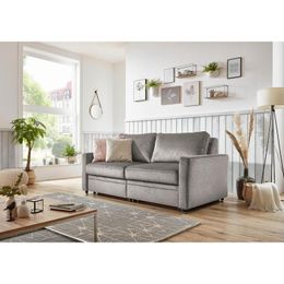 DIE PLANBAR Schlafsofa »MP-PD19021« mit Längsschläferfunktion 80 bzw. 160x210 cm alu