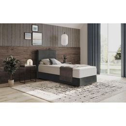 MR. COUCH Boxbett »Stratus 2« inkl. Bettkasten und Matratze Velvet 96 anthrazit