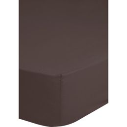 HIP Spannbettlaken &raquo;in Gr. 90x200, 140x200 oder 180x200 cm&laquo; 100% Baumwolle, Mako-Satin, Rundumgummi, bis 25 cm H&ouml;he chocolate Obermaterial: 100%...