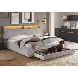 Inosign Polsterbett &raquo;CiTY/GiRON,, gepolstertes Stauraumbett, mit LED Beleuchtung&laquo; Bettkasten mit Hundebett oder als Stauraum, klappbare Kopfteile grau