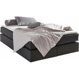 Collection AB Boxspringbett inklusive Topper anthrazit