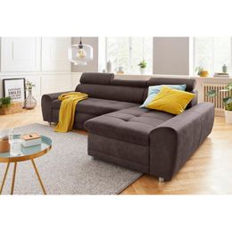 Sit & More sit&more Ecksofa &raquo;Riva L-Form&laquo; inklusive Kopteilverstellung, wahlweise mit Bettfunktion braun Flachgewebe (100% Polyester);Luxus-Microfaser (100% 