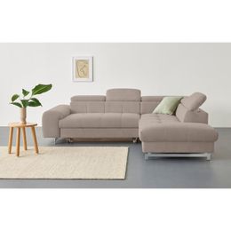 COTTA Ecksofa &raquo;Chef L-Form&laquo; mit Kopfteilverstellung, edle Metallkufen, wahlweise mit Bettfunktion braun Luxus-Microfaser (100% Polyester);Kunstleder 