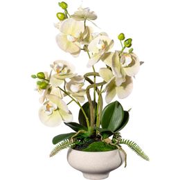 Creativ green Kunstorchidee &raquo;Orchidee Phalaenopsis im Keramiktopf&laquo; gr&uuml;n Obermaterial: 100% Polyethylen