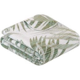 Ibena Wohndecke »Kuscheldecke Honolulu« mit exotischem Blattdesign grün/wollweiss Obermaterial: 58% Baumwolle, 35% Polyacryl, 7% Polyester B/L: 150...