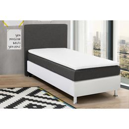Collection AB Boxspringbett inklusive Topper weiß/grau