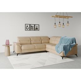 Sit & More sit&more Ecksofa &raquo;Sinatra L-Form&laquo; optinal mit Kopfteilverstellung und Armteilfunktion, Metallf&uuml;&szlig;e braun 100% Polyester