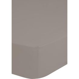 HIP Spannbettlaken &raquo;in Gr. 90x200, 140x200 oder 180x200 cm&laquo; 100% Baumwolle, Mako-Satin, Rundumgummi, bis 25 cm H&ouml;he taupe Obermaterial: 100%...