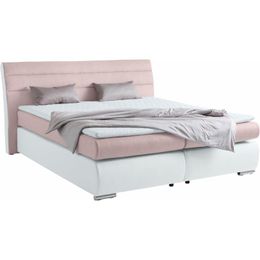 Places of Style Boxspringbett »Luna« in Struktur-/Kunstleder-Mix, Überlänge 220 cm, bis zu 3 Härtegrade weiß/rosé