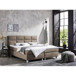 Westfalia Schlafkomfort Boxspringbett mit Topper dark-beige