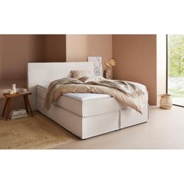 LeGer Home by Lena Gercke Boxspringbett »Yuma« incl. Topper, in 4 Breiten, 3 Matratzenarten und je 2 Härtegraden beige