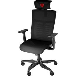 Genesis Gaming-Stuhl »ASTAT 700 G2 schwarz« () Schwarz + schwarz Sitz aus hochwertigem Mesh-Textil mit PureFlowPLUS -Technologie, die für eine...