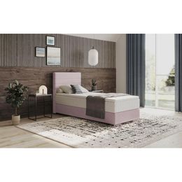 MR. COUCH Boxbett »Stratus 2« inkl. Bettkasten und Matratze Stripes 8626 flamingo