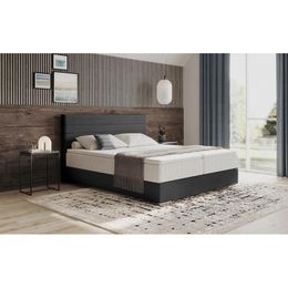 MR. COUCH Boxbett »Stratus 2« inkl. Bettkasten und Matratze Stripes 8629 stone