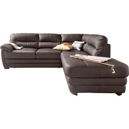 COTTA Ecksofa &raquo;Royale L-Form&laquo; wahlweise mit Bettfunktion braun Luxus-Kunstleder, frei im Raum stellbar;Luxus-Microfaser (100% Polyester), frei im Raum
