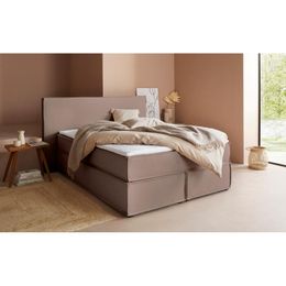 LeGer Home by Lena Gercke Boxspringbett »Yuma« incl. Topper, in 4 Breiten, 3 Matratzenarten und je 2 Härtegraden taupe