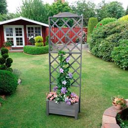 Promadino Rankhilfe &raquo;Botanica&laquo; Rankkasten, BxTxH: 69x32x210 cm grau Holzwerkstoff