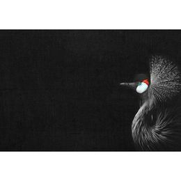 Livingwalls LIVING WALLS Fototapete »ARTist Crowned Crane Black« Vlies, Wand, Schräge rot/schwarz/weiß B/L: 4 m m x 2,7 m m