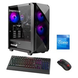 Hyrican Gaming-PC »Striker 6901« Windows 11 schwarz WLAN AC, ARGB-Beleuchtung Front, 2x PS/2, 4x USB 2.0/1.1-Anschlüsse, 2x USB 3.2 Gen 1, 1x...