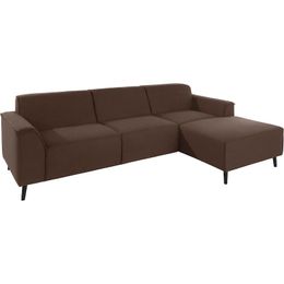 DOMO collection Ecksofa »Amora, inklusive komfortablem Federkern für mehr Sitzkomfort, L-Form« mit Recamiere, zeitlos und elegant, Komfortsitzhöhe...