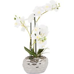 LEONIQUE Kunstpflanze &raquo;Orchidee&laquo; Kunstorchidee, im Topf, Bestseller, &uuml;ber 2500 4,5-Sterne-Bewertungen bunt Keramik, Kunststoff, Polyester