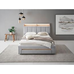 Inosign Polsterbett &raquo;CiTY/GiRON, , gepolstertes Stauraumbett, mit LED Beleuchtung&laquo; Bettkasten mit Hundebett oder als Stauraum, klappbare Kopfteile...