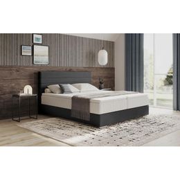 MR. COUCH Boxbett »Stratus 2« inkl. Bettkasten und Matratze Stripes 8629 stone