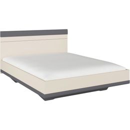 Rauch Futonbett »Bett Doppelbett Holzbett SAJO« mit Farb-Absetzungen in komfortabler Sitzhöhe MADE IN GERMANY Champagner/Graumetallic