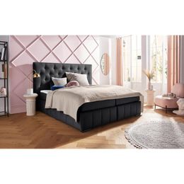 Collection AB Boxbett &raquo;Vancouver&laquo; inkl. Topper, 3 Matratzenarten und in H2, H3 und H4 w&auml;hlbar schwarz