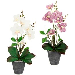 I.GE.A. Kunstpflanze »Orchidee« Mit Blättern und Luftwurzeln, im Topf aus Keramik, 2er Set creme/rosa