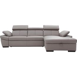 exxpo - SOFA FASHION Ecksofa »Salerno, klassisch modernes Funktionssofa, hoher Sitzkomfort, L-Form« inkl. Kopf- und Armteilverstellung, wahlweise...