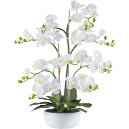 Creativ green Kunstorchidee &raquo;Orchidee Phalaenopsis&laquo; mit zahlreichen real-touch-Bl&uuml;ten wei&szlig;