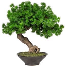 Home Affaire Kunstbonsai &raquo;Perham&laquo; Kunstpflanze, im Topf gr&uuml;n Obermaterial: 100% Kunststoff