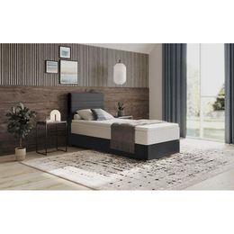MR. COUCH Boxbett »Stratus 2« inkl. Bettkasten und Matratze Stripes 8629 stone