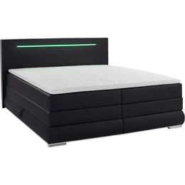 Collection AB Boxspringbett inkl. Bettkasten, LED-Beleuchtung und Topper schwarz/weiß
