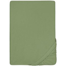 Biberna Spannbettlaken &raquo;Pepe&laquo; weicher Frottee-Stretch fichte Obermaterial: 80% Baumwolle, 20% Polyester B/L: 200 cm