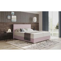 MR. COUCH Boxbett »Stratus 2« inkl. Bettkasten und Matratze Stripes 8626 flamingo