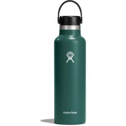 Hydro Flask Trinkflasche &raquo;Standard Flex Cap&laquo; TempShield -Isolierung Fir 621 ml