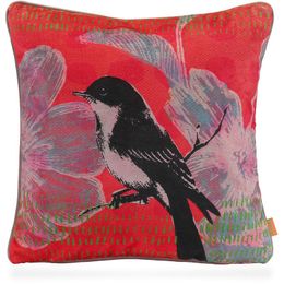 HOCK H.O.C.K. Dekokissen »Lieblingstiere Vogel« Wendekissenhülle mit Füllung, 1 Stück anthrazit/pink + bedruckt Bezug: 100% Polyester B/L: 45 cm x 45 cm