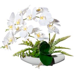 Creativ green Kunstorchidee »Orchidee Phalaenopsis in Keramikschale« mit Real-Touch-Blüten weiß Obermaterial: 95% Polyethylen, 5% Polyester