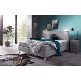 Collection AB Boxspringbett inkl. LED-Beleuchtung und Topper hellgrau