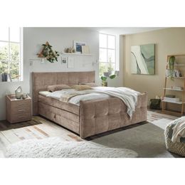 ED EXCITING DESIGN Boxspringbett »Gallina« mit Bettkasten, inkl. Topper taupe
