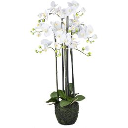 Creativ green Kunstorchidee &raquo;Orchidee Phalaenopsis&laquo; im Erdballen und mit real-touch-Bl&uuml;ten wei&szlig;